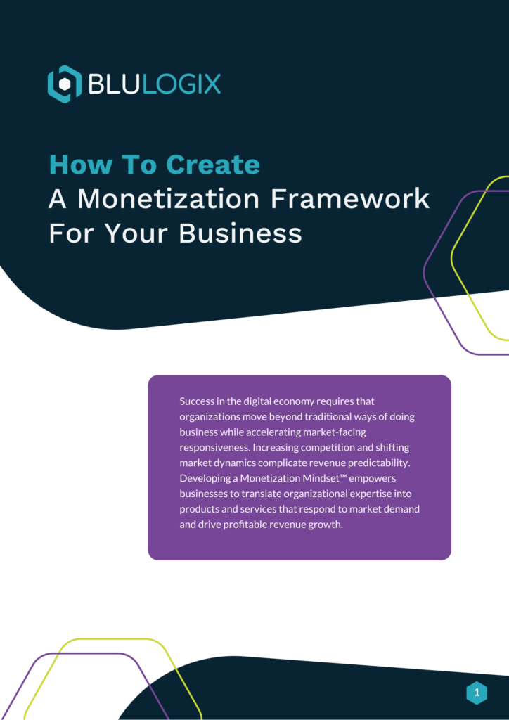 How to Navigate Agile Monetization in the Digital Economy - BluLogix